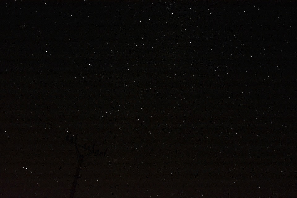 秋の季語『星月夜』 簡単！俳句の作り方